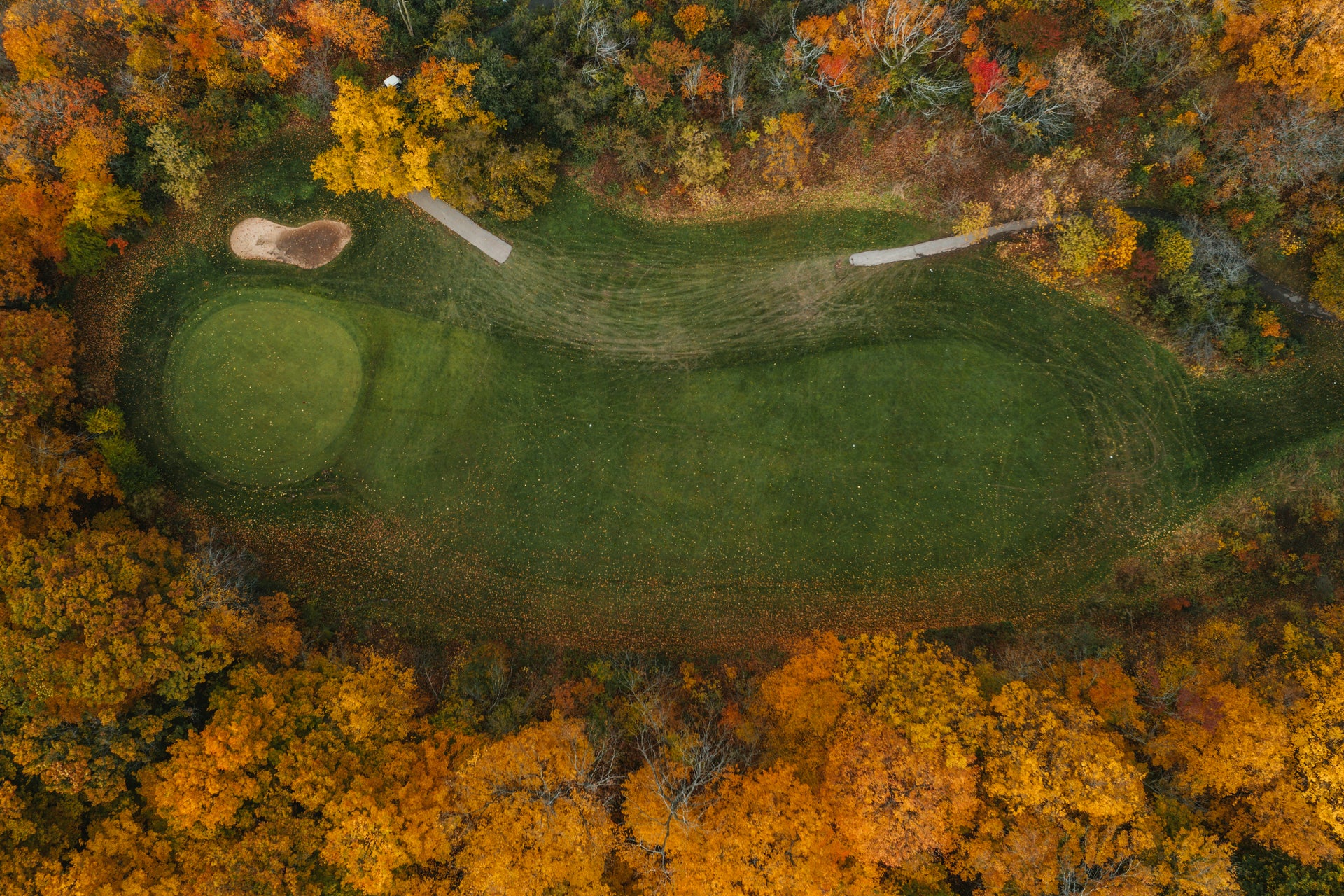 About Our Company | Lynx Golf USA | Ambition. Unleashed.